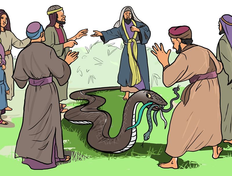 Miracles of Prophet Musa (A.S.) – Opiq